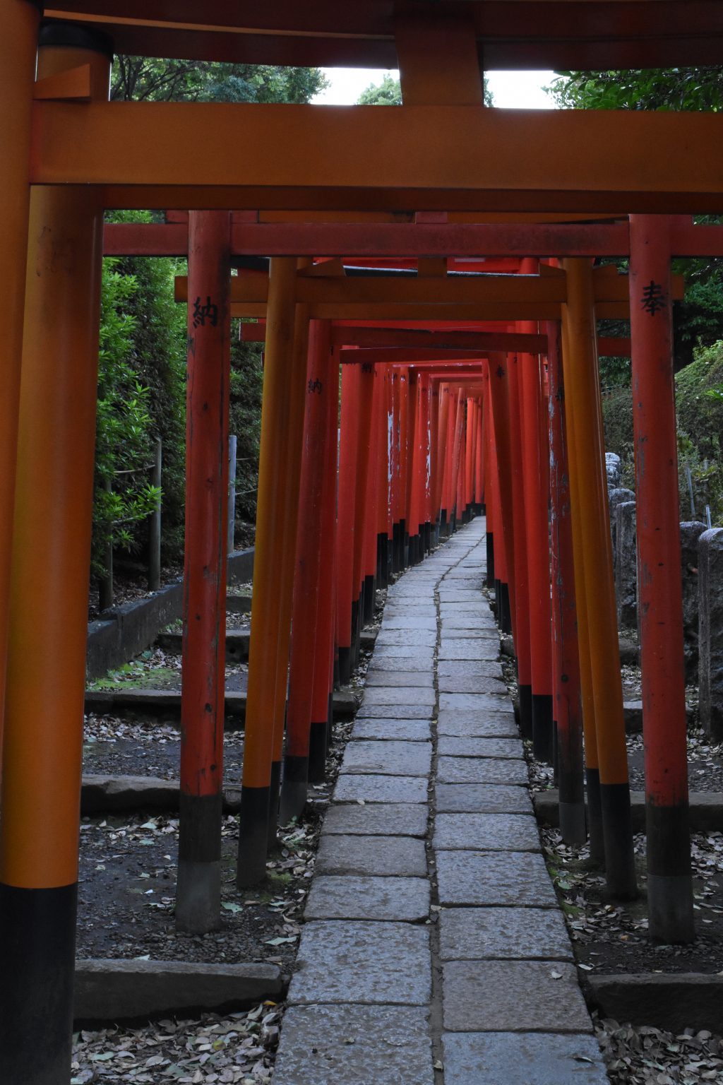 Nezu-Jinja – “A Thousand” Tori Gates in Tokyo - Phil In Japan